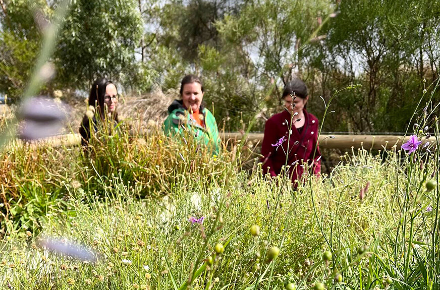 Wollert Community Farm | Melbourne Polytechnic